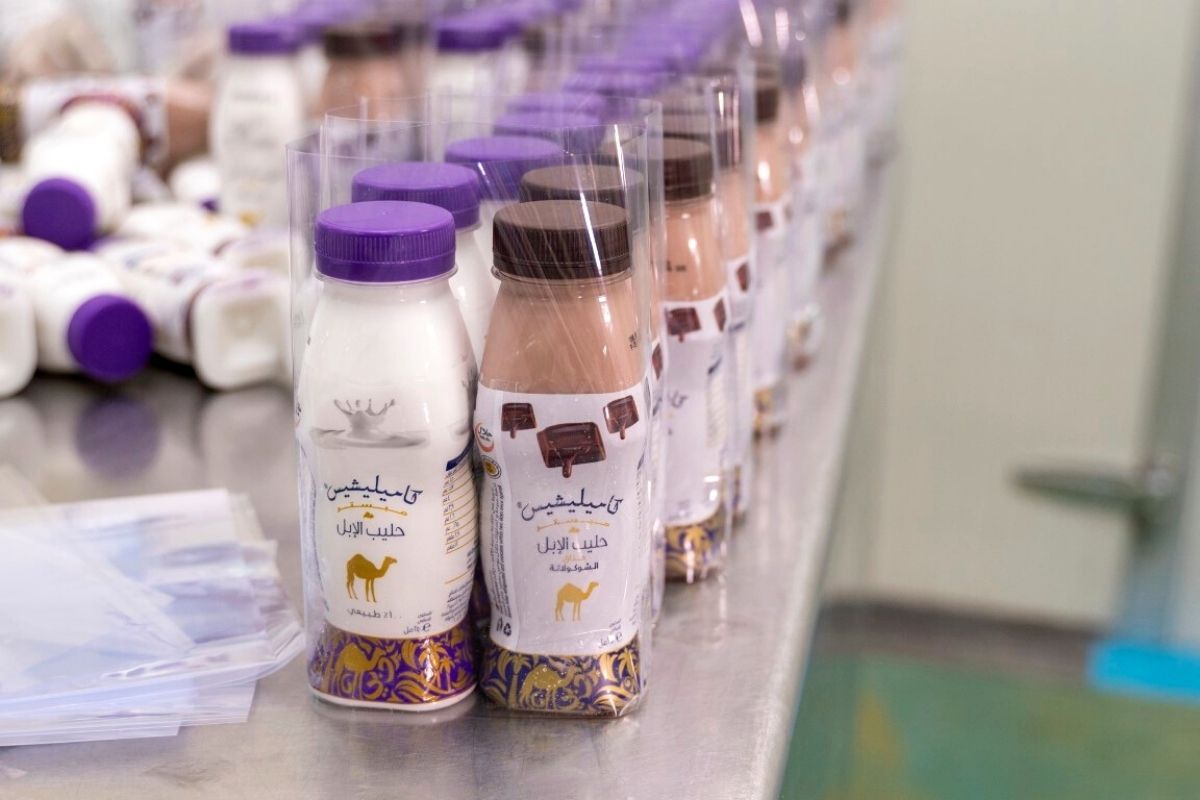 583 companies engaged in dairy production, industry in Dubai: Report