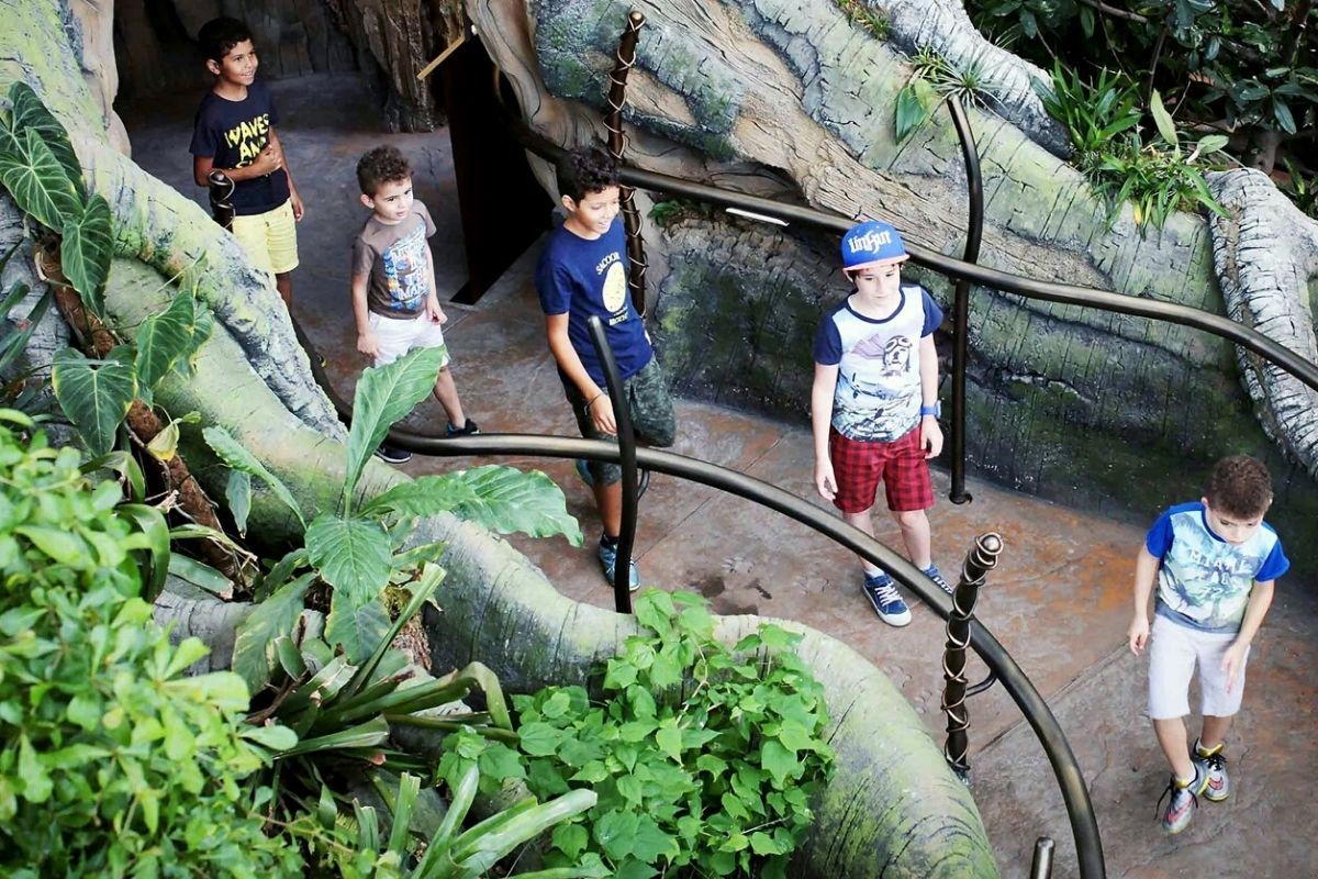 Dubai’s Green Planet offers mega discounts