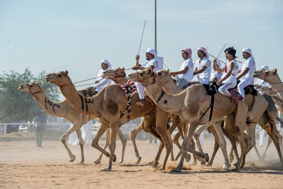 Registration is Now Open for the 11km National Day Camel Marathon