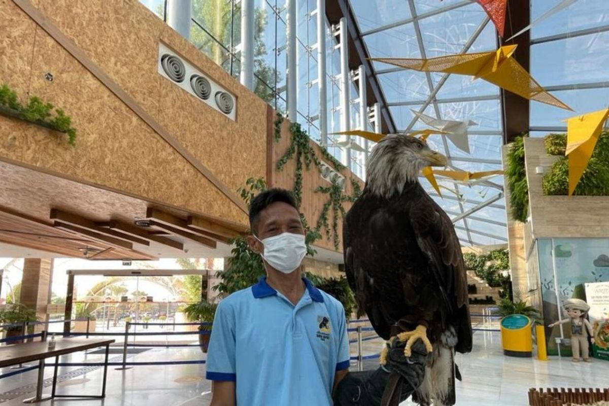 UAE: Professional License for Federal Tour Guides