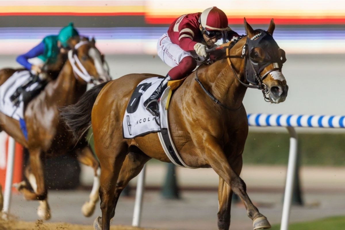 Super Saturday’ at Meydan Racecourse to hold Nine Races