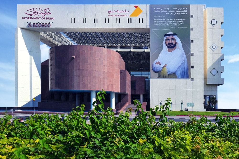 Dubai Municipality Plants Over 216,500 Trees in 2024, Expanding Green ...