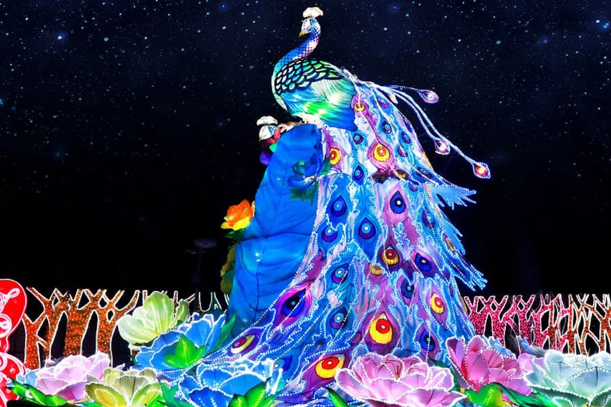 Dubai Garden Glow Plans Reopening at New Location with Revamped Concept