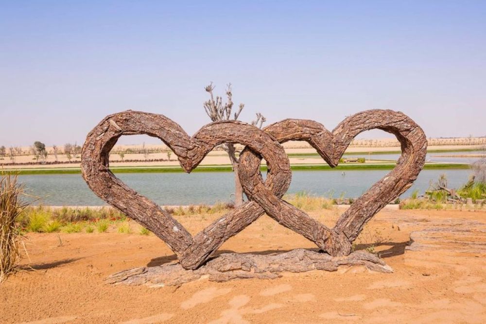 Love Lake Dubai - Why You Must visit Al Qudra Lake