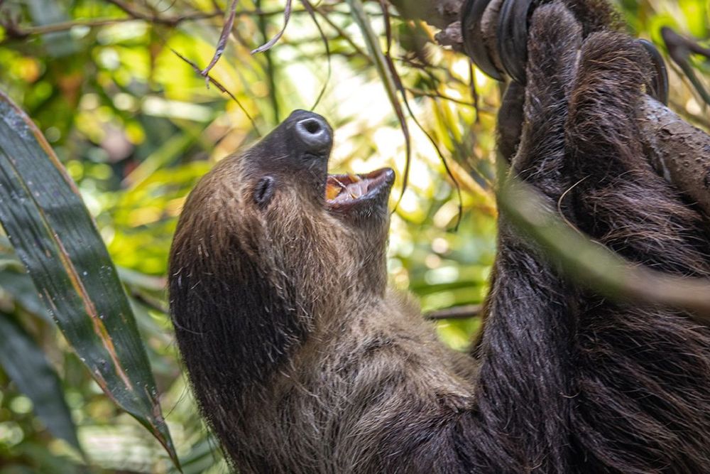 Top things to do on November 9 around Dubai