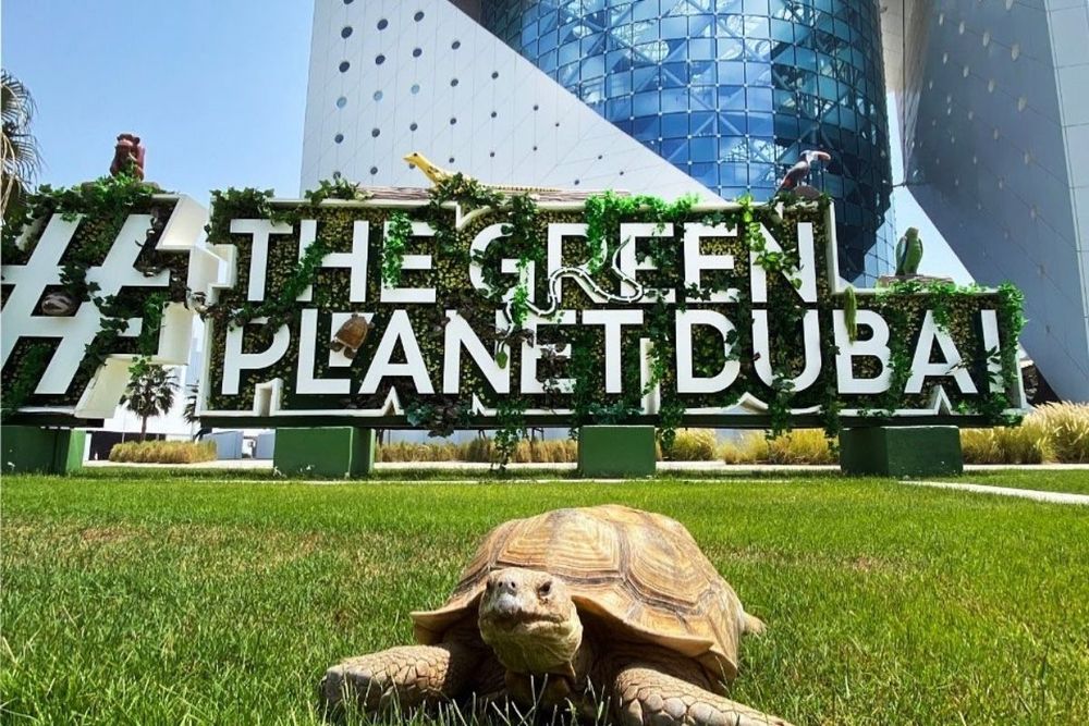 The Green Planet Dubai - The Best Things To See and Do