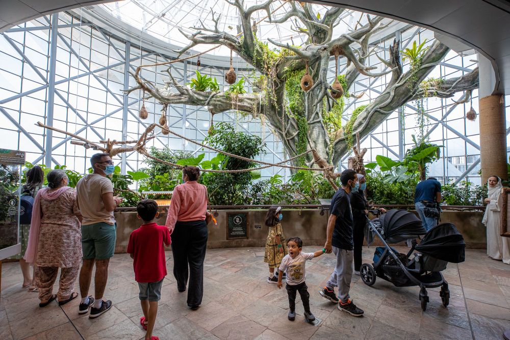 The Green Planet Dubai - The Best Things To See and Do