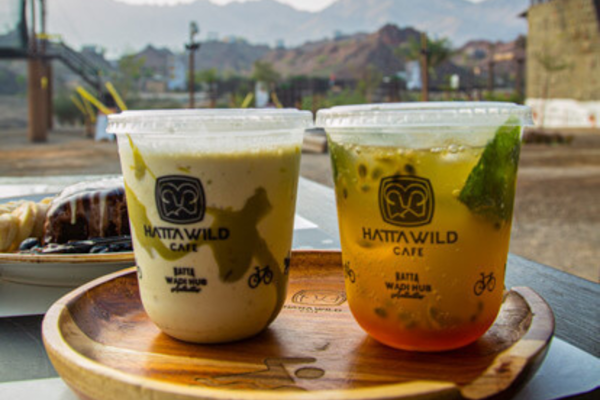 Exploring the Enchanting Al Hatta: Top Things to Do in Dubai's Hidden Gem