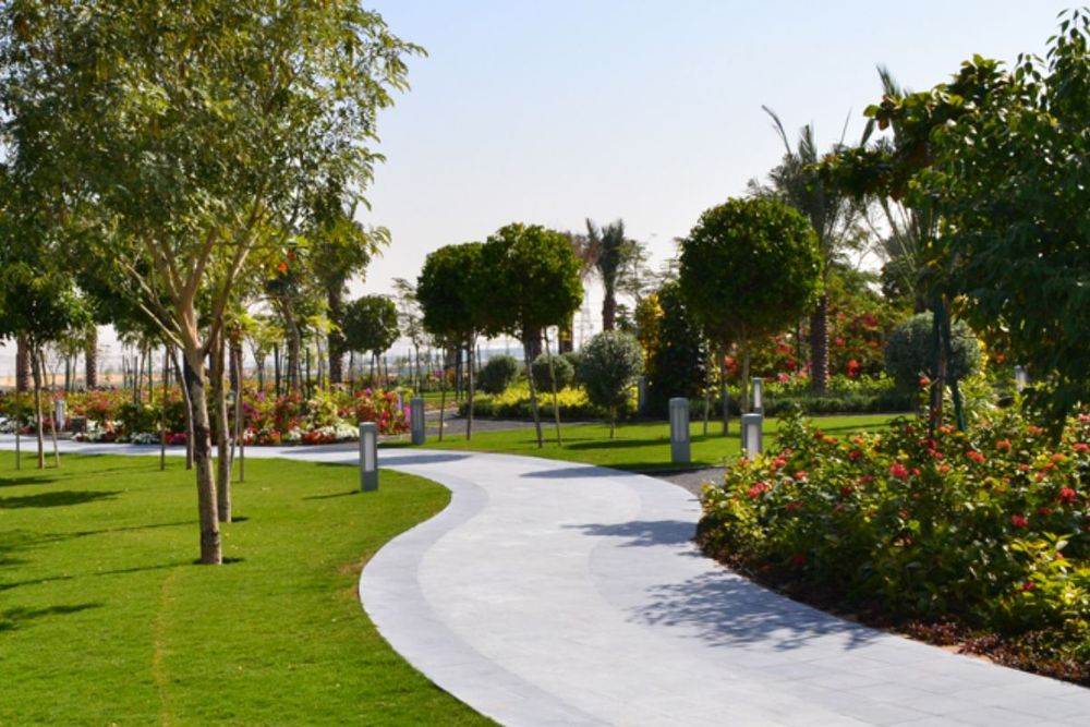 Upscale your space with the Top-rated Gardening Services in Dubai