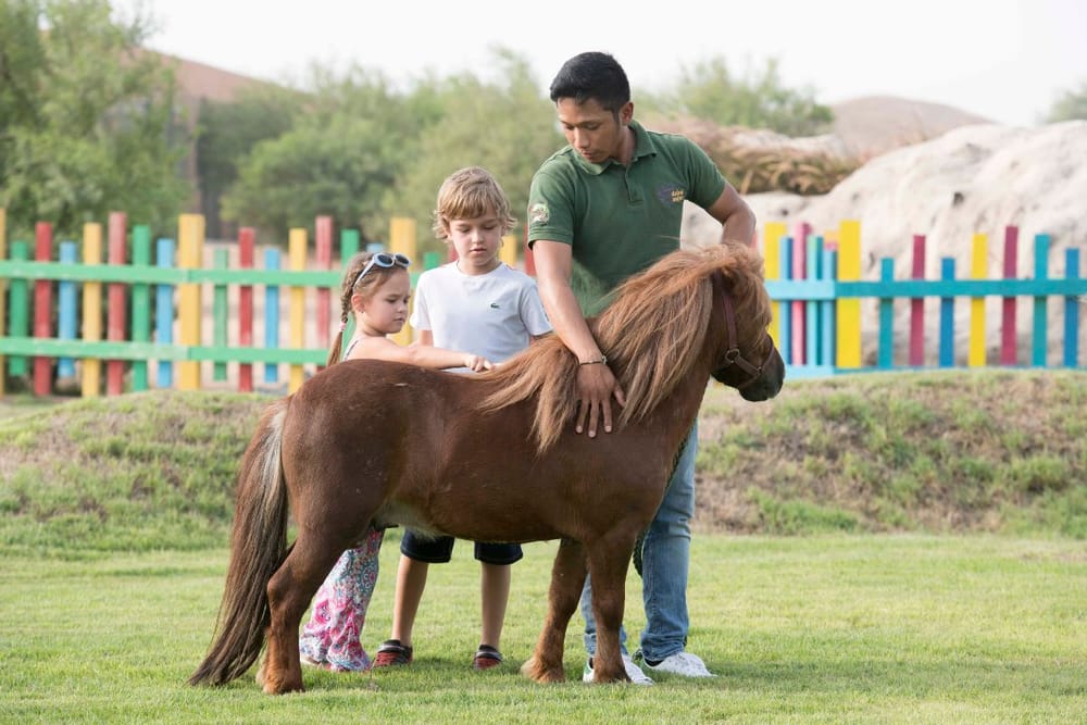 Top Farms to Visit in the UAE