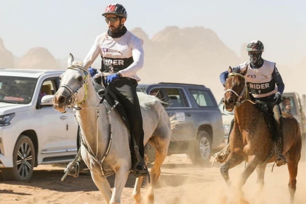 Traditional sports in UAE: Falconry, Archery & More