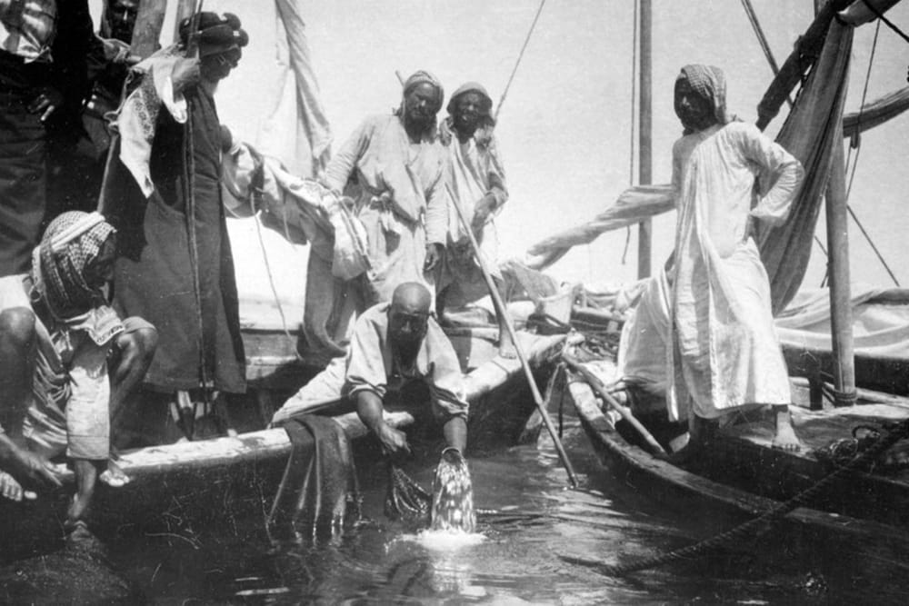 Bedouin Roots: Unveiling the UAE's Tribal History