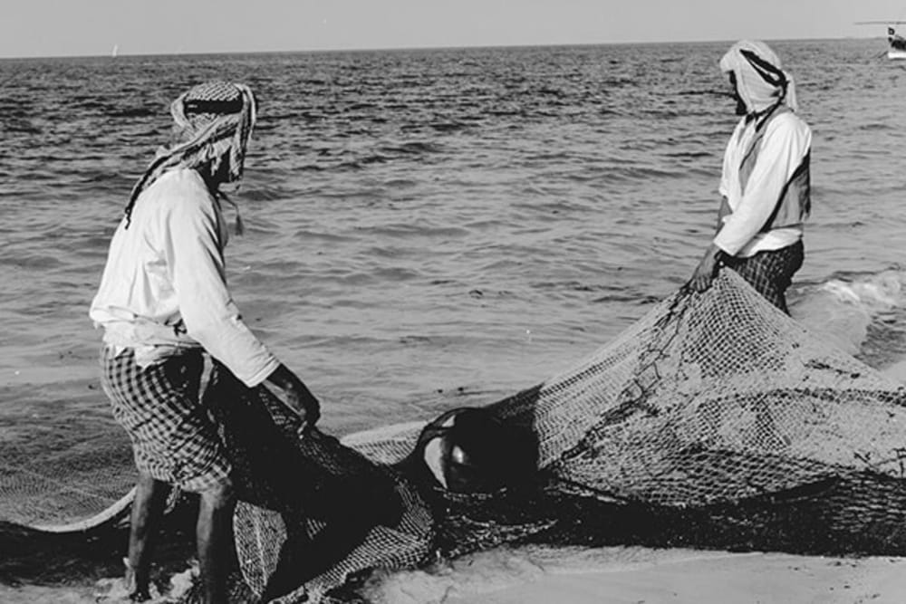 Bedouin Roots: Unveiling the UAE's Tribal History