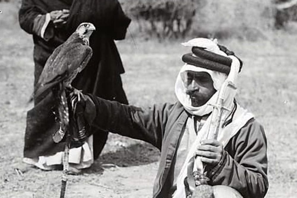 Bedouin Roots: Unveiling the UAE's Tribal History