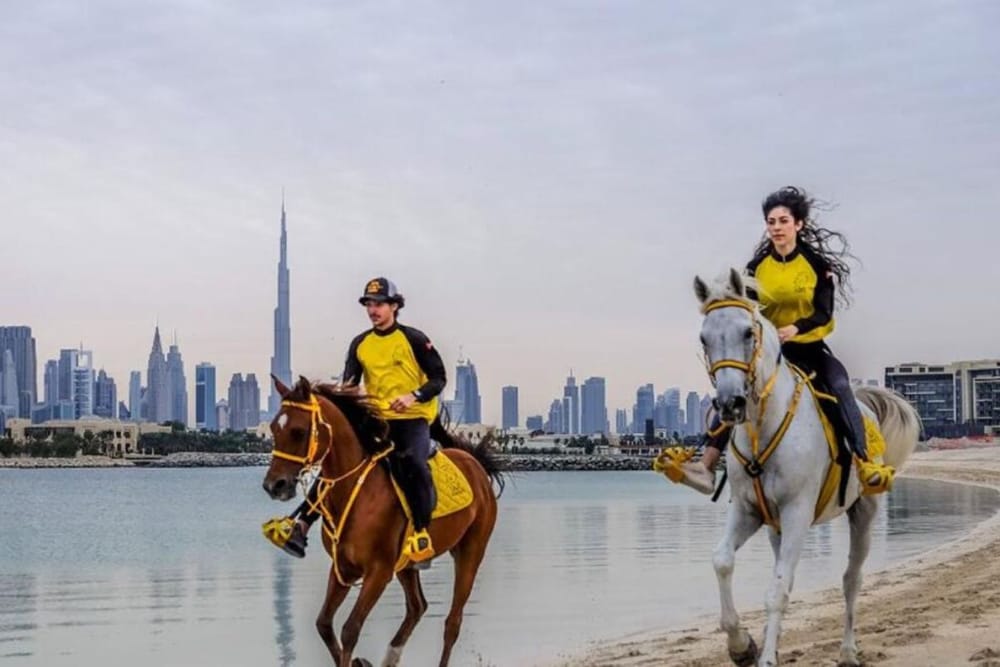 Dubai's Animal Kingdom: All the Wildlife You Can Encounter