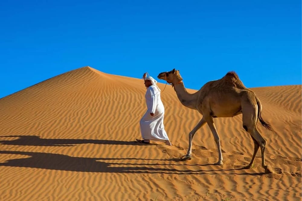 All About the Arabian Desert: Geography, Climate and More