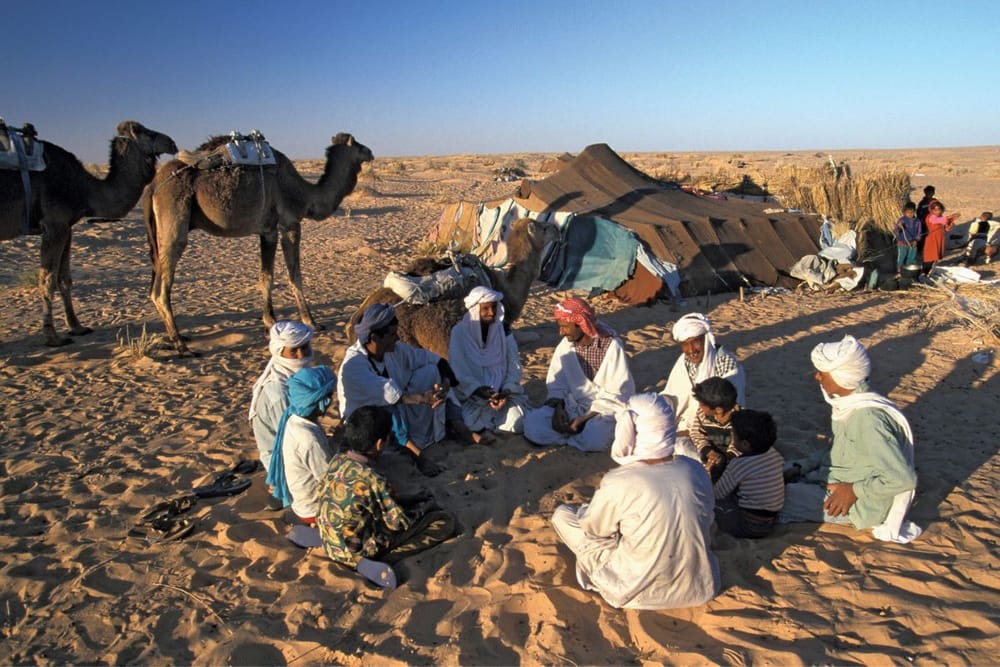 All About the Arabian Desert: Geography, Climate and More