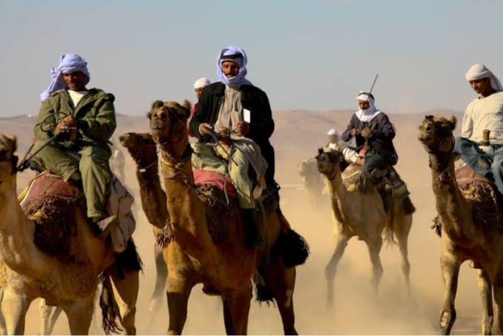 All About the Arabian Desert: Geography, Climate and More