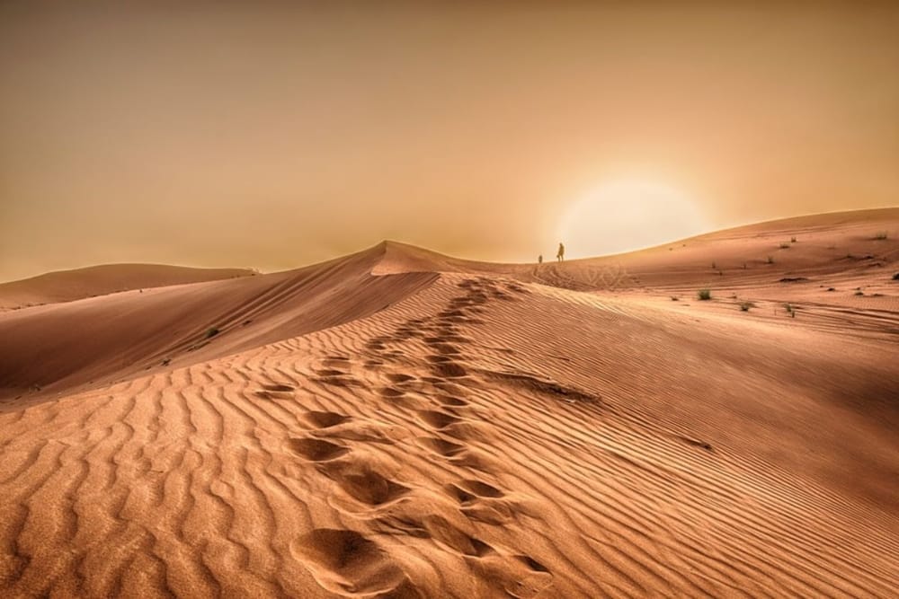 All About the Arabian Desert: Geography, Climate and More