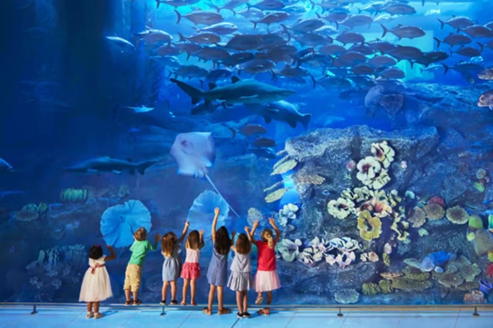 Dubai's Animal Kingdom: All the Wildlife You Can Encounter