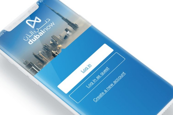 All you need to know about the DubaiNow app