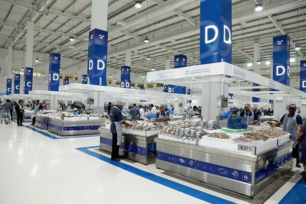 Fresh and Affordable: A Guide to Dubai's Fruit and Vegetable Market