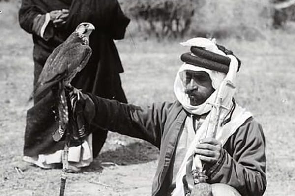Traditional sports in UAE: Falconry, Archery & More